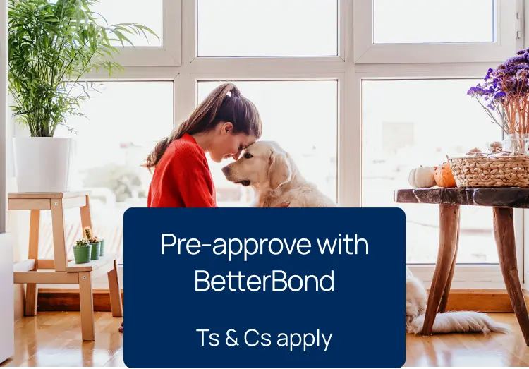 All Custom Components - Betterbond